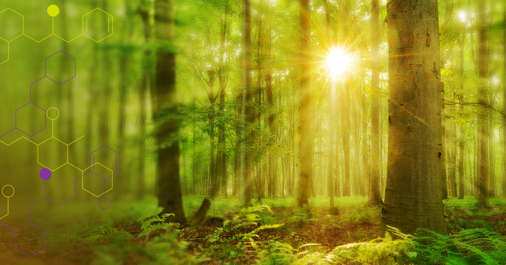 Towards Net Zero with UPM BioMotion™ Renewable Functional Fillers